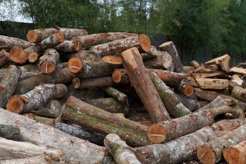 GREXEL | Biomass Energy Solutions